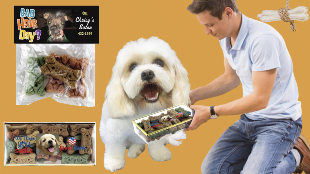 Product Ideas for Dogs & Puppies - 24hourwristbands Blog